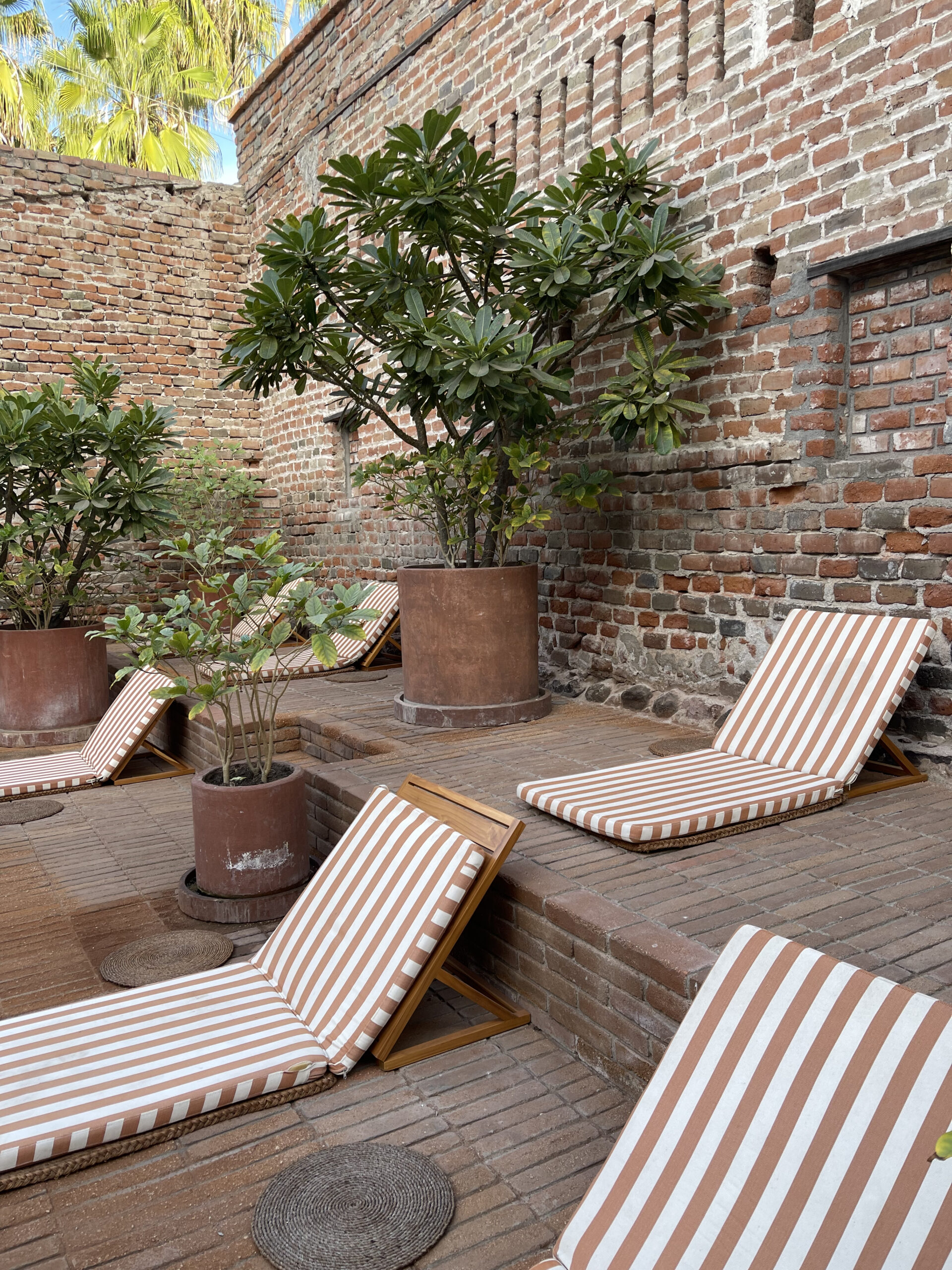 Baja Club: A Most Modern Mexican Stay